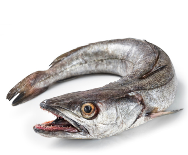 Merlu 3/500 grs, la pièce - LE MARCHE AUX POISSONS - FECAMP